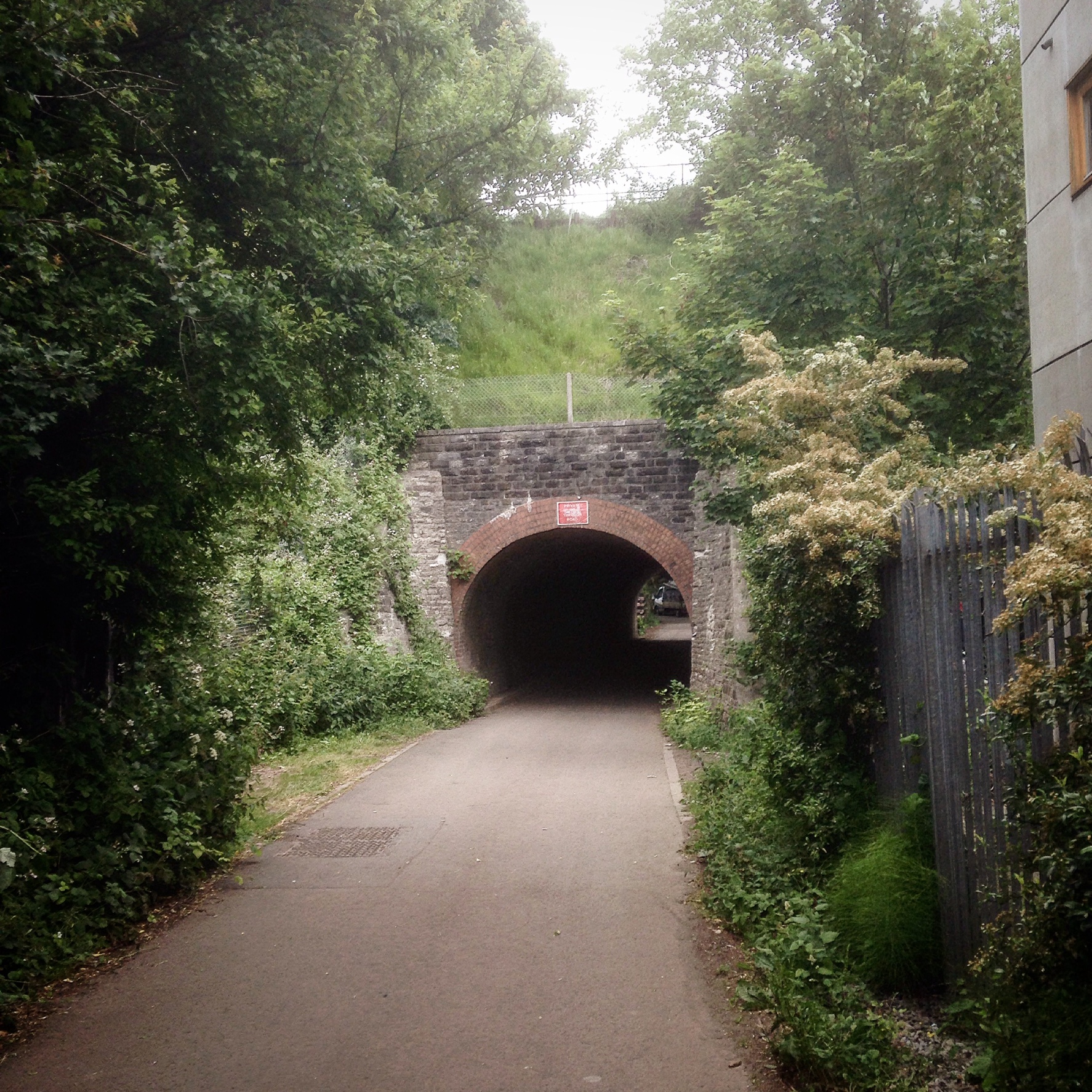 All back to Asselega’s place | Richly Evocative