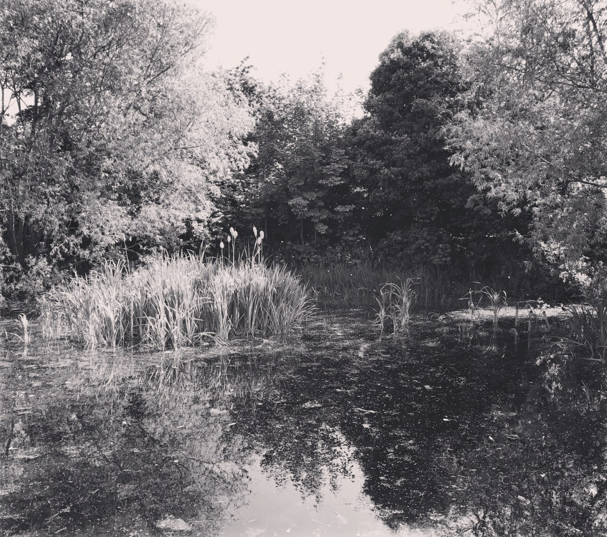 Upper Vatch Mill & a ghost I never saw | Richly Evocative