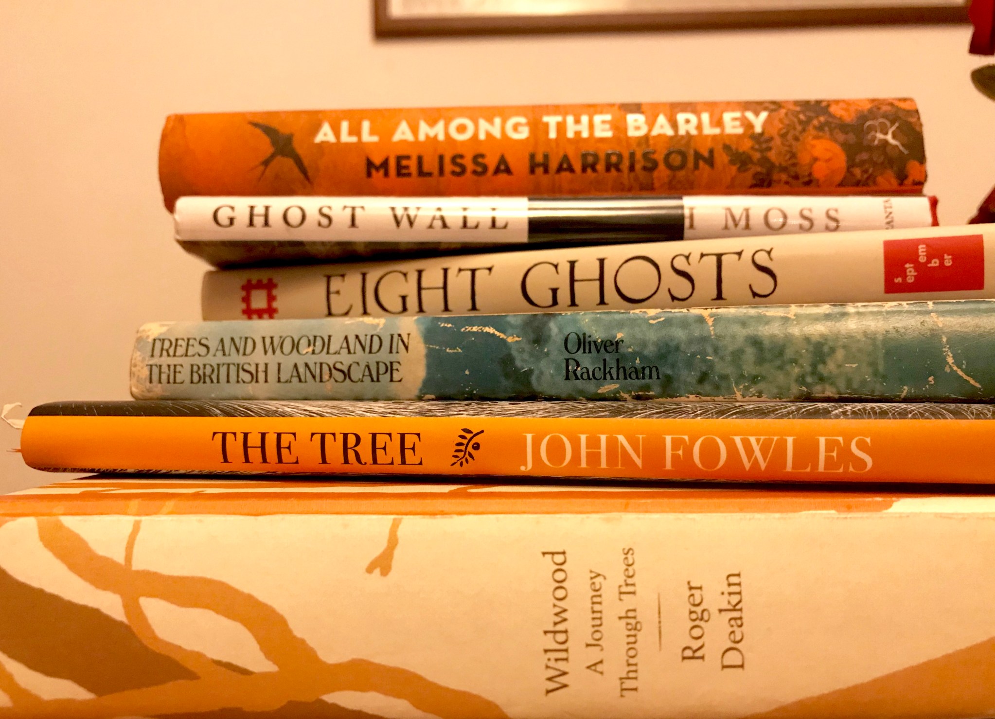 Books found and books lost: another year of reading | Richly Evocative