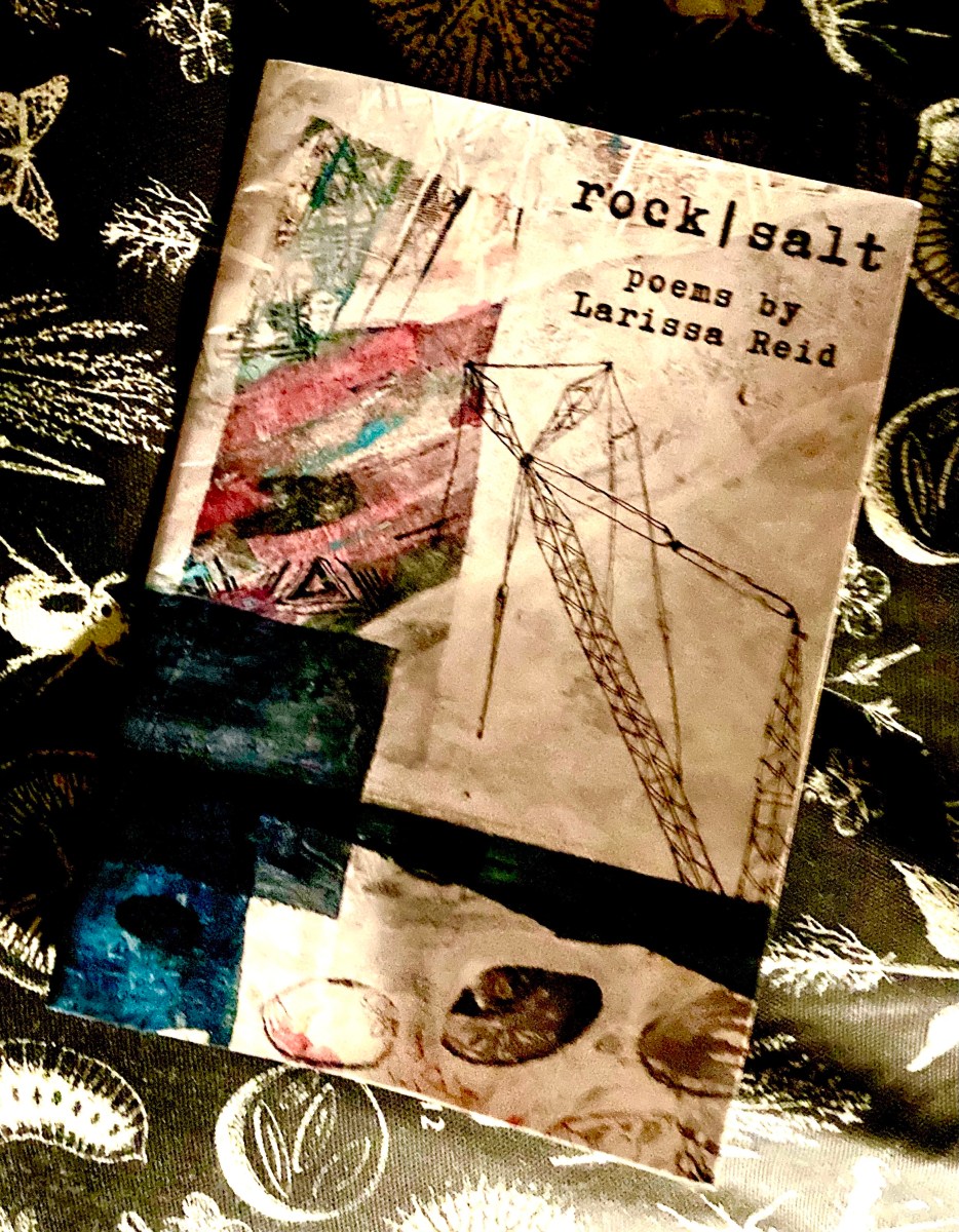 Review: rock | salt poems by Larissa Reid | Richly Evocative